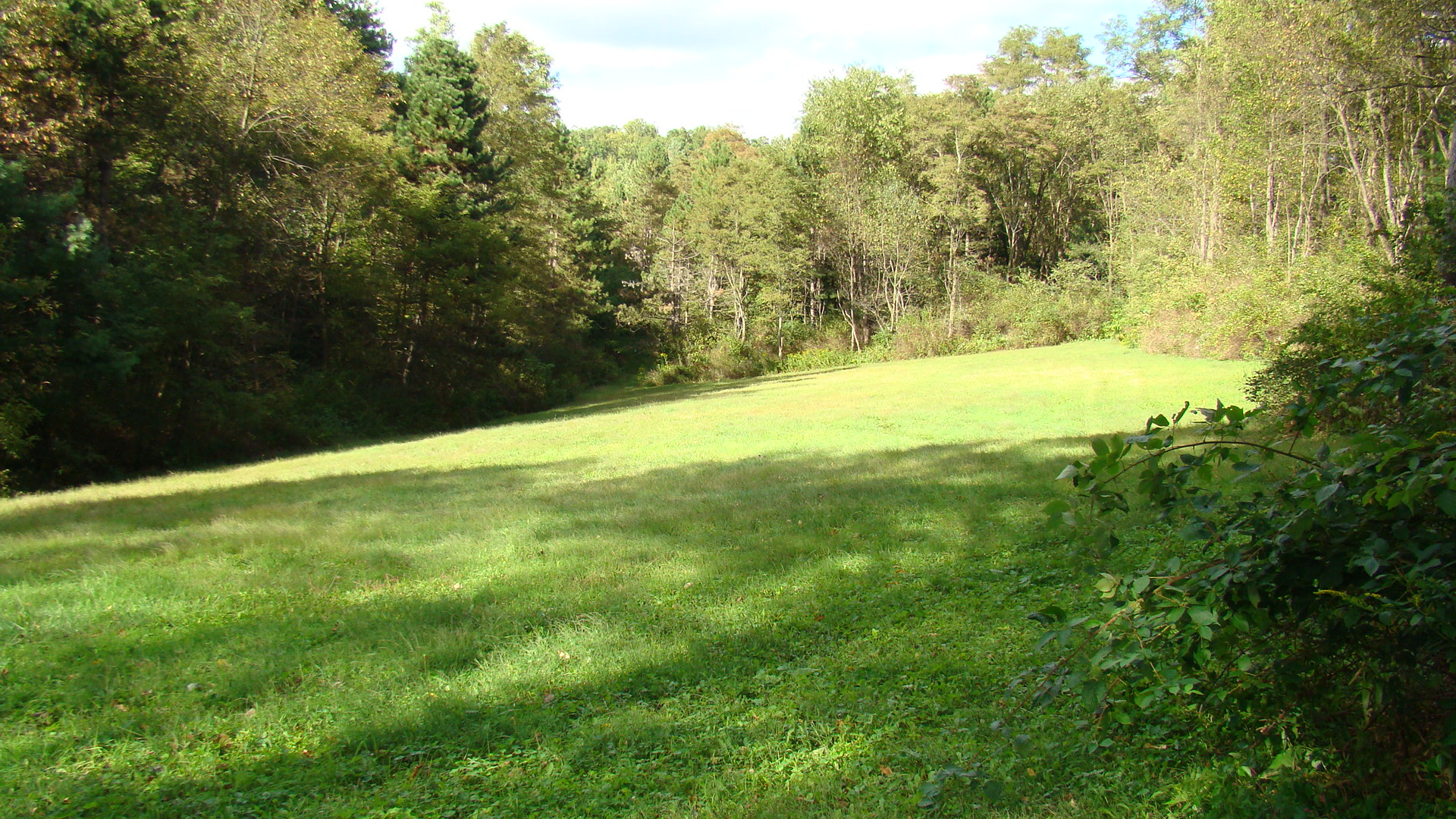 Camp Development Project – Fun and Freedom